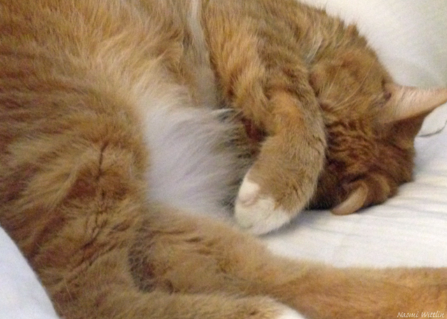 How to be a slacker: a guide for perfectionists and overachievers
